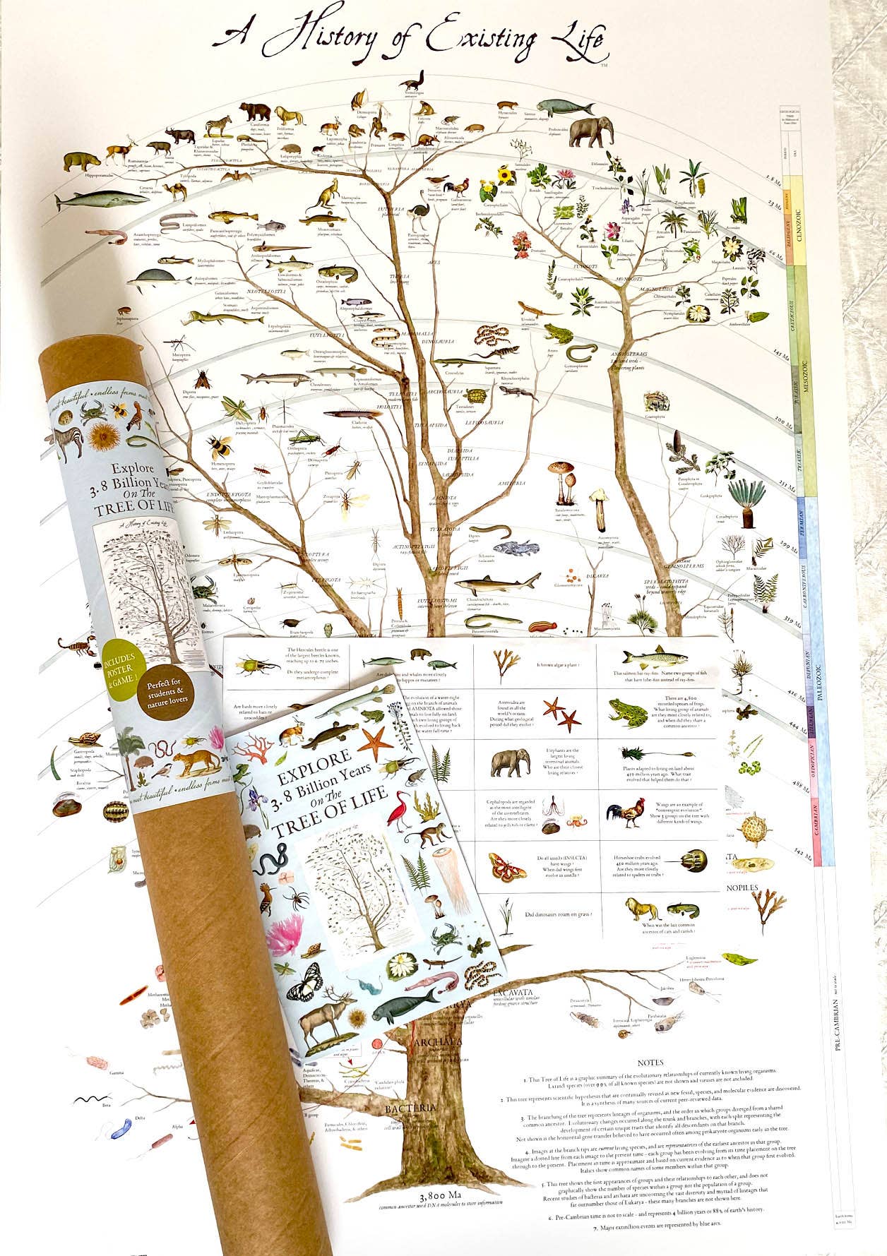 A History of Existing Life – Because Science