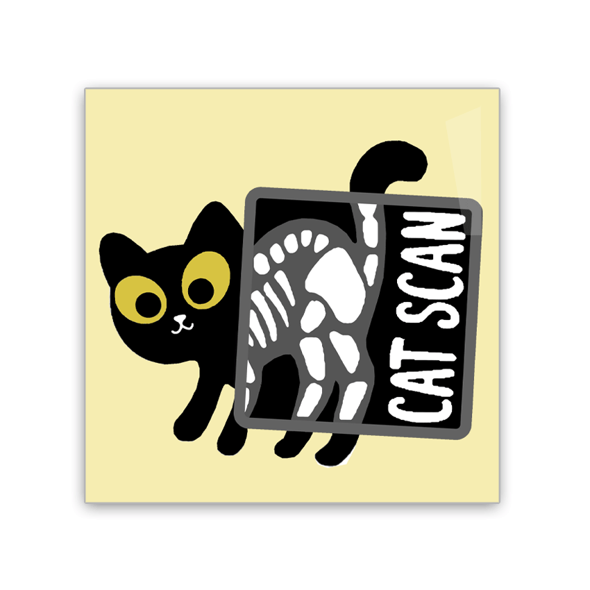 Cat Scan - 2x2 Magnet – Because Science