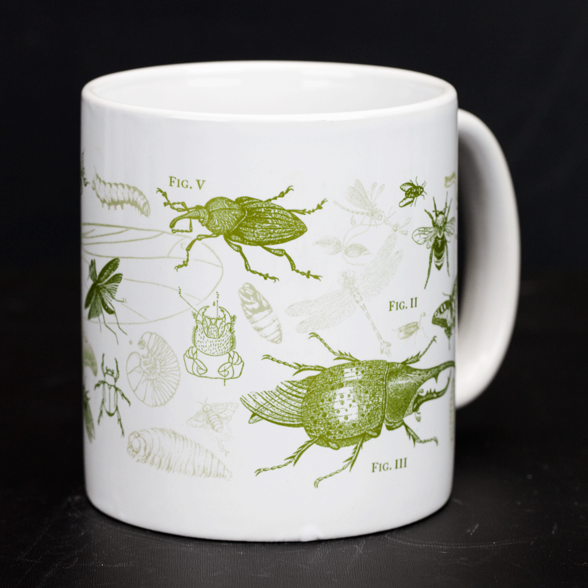 Entomology: Butterflies & Insects Mega Mug | 20 oz – Because Science