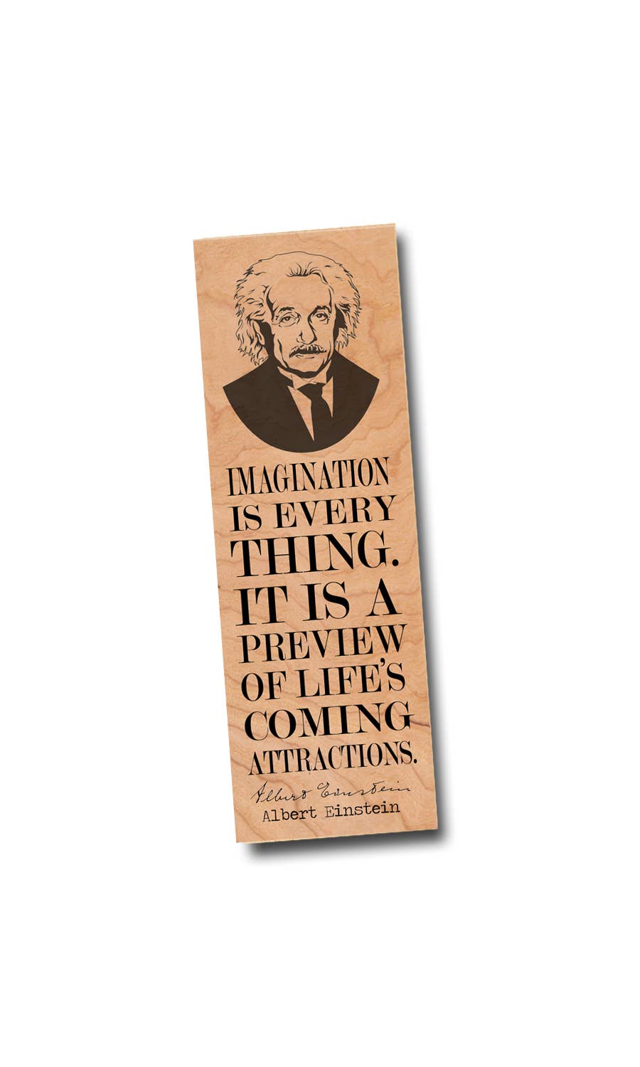 Albert Einstein "Imagination is Everything" Bookmark – Because Science