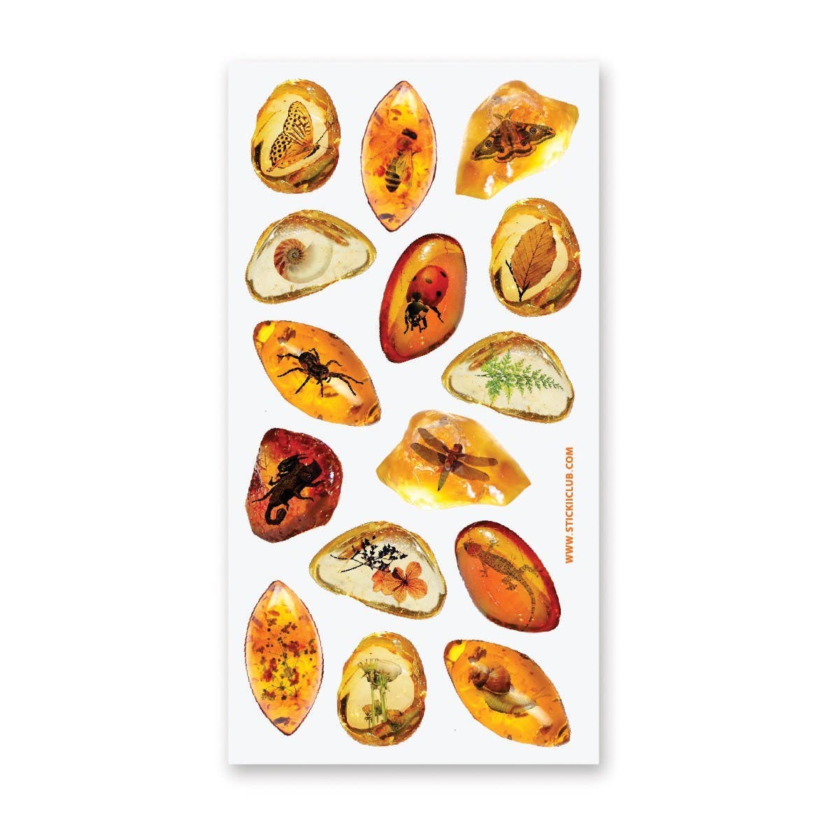 Amber Fossils Sticker Sheet – Because Science