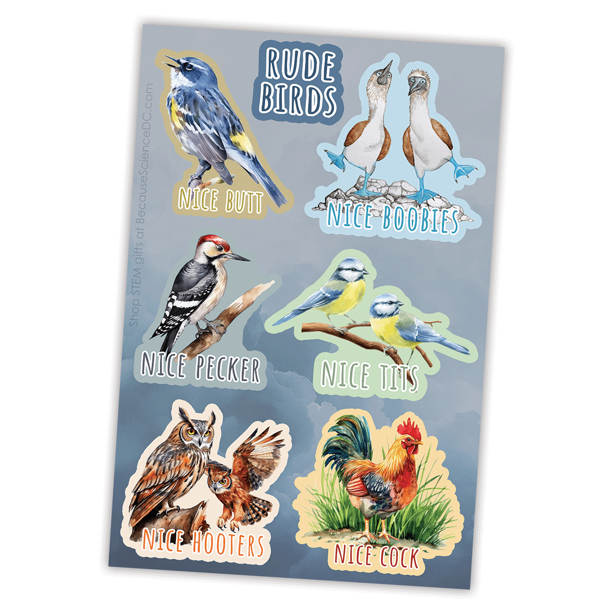 Rude Birds - 4x6 Vinyl Sticker Sheet – Because Science