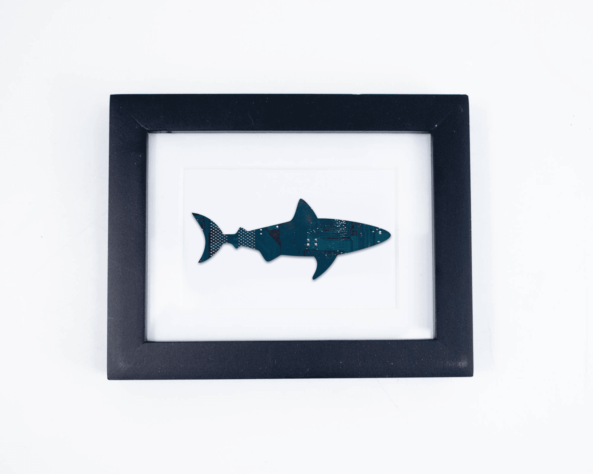 Shark Circuit Board Art - Mini – Because Science