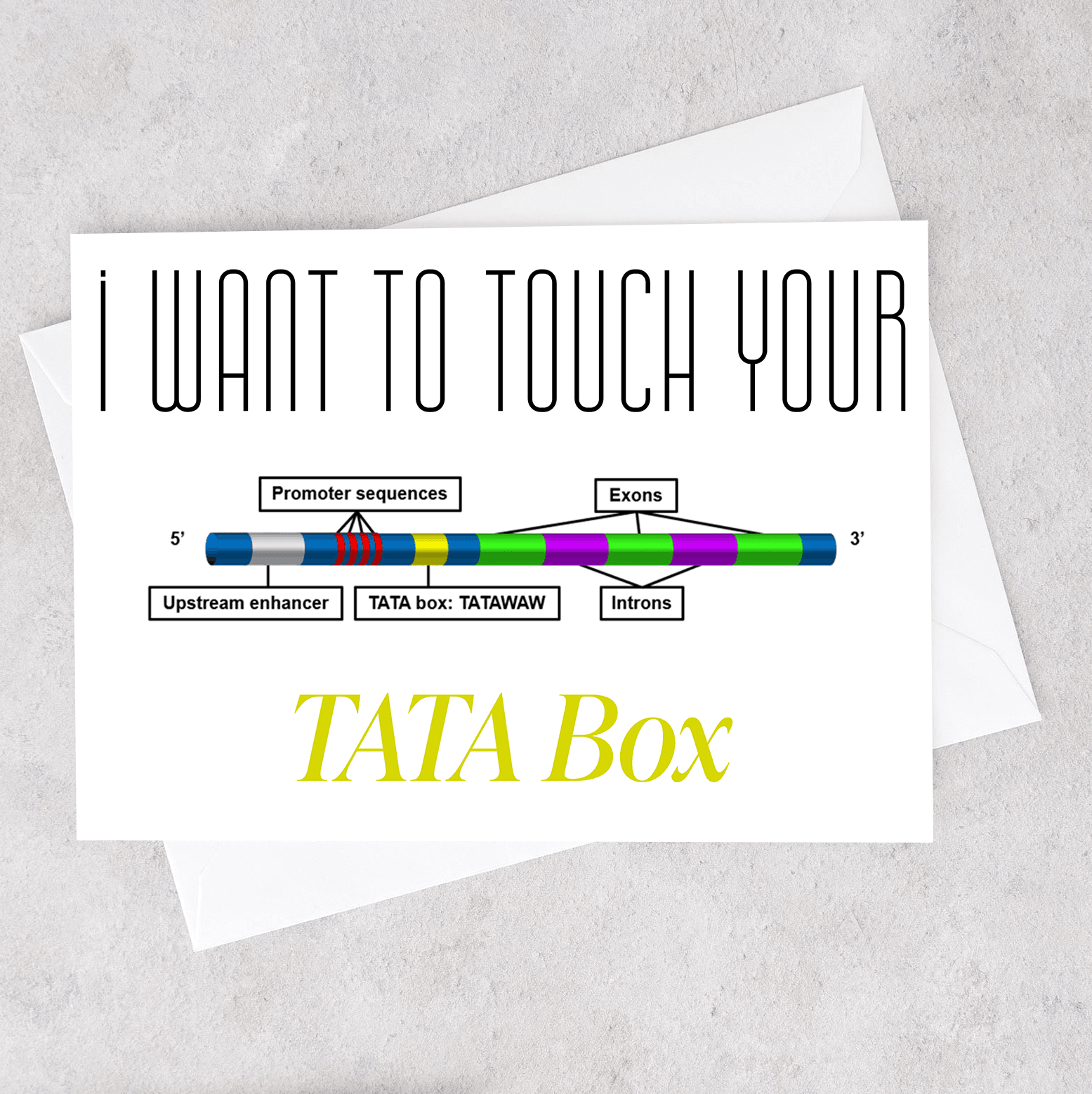 I Want to Touch Your TATA Box - Greeting Card – Because Science