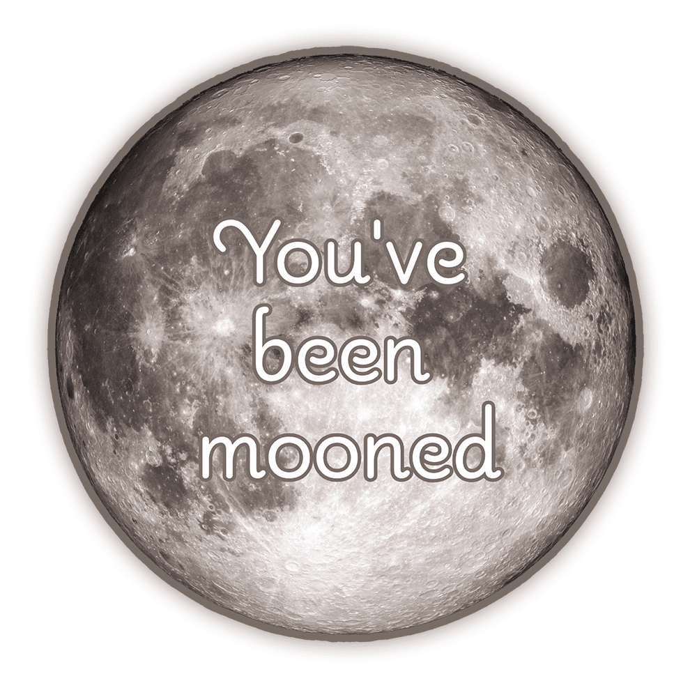 You've Been Mooned - Vinyl Sticker – Because Science