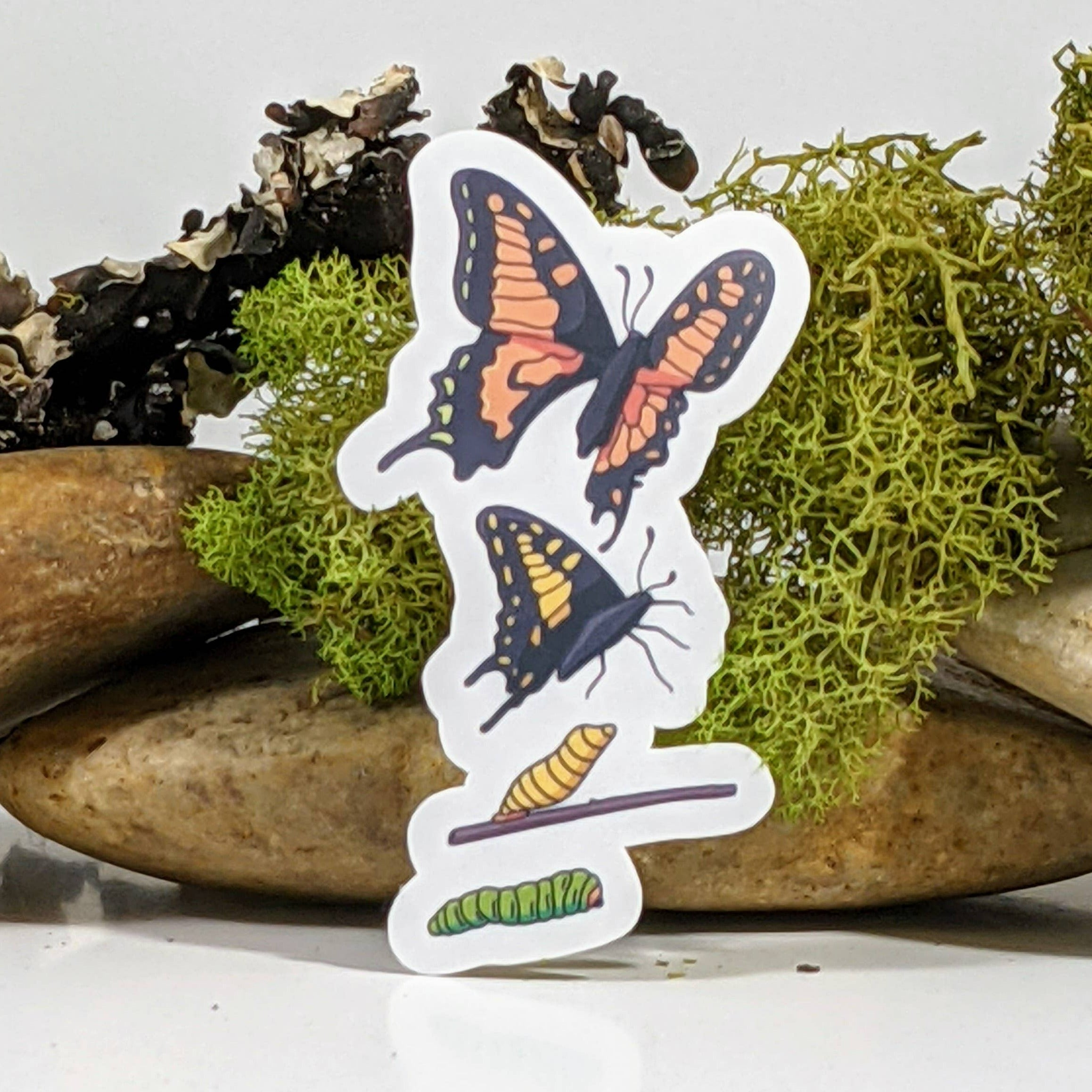 Metamorphosis Sticker – Because Science