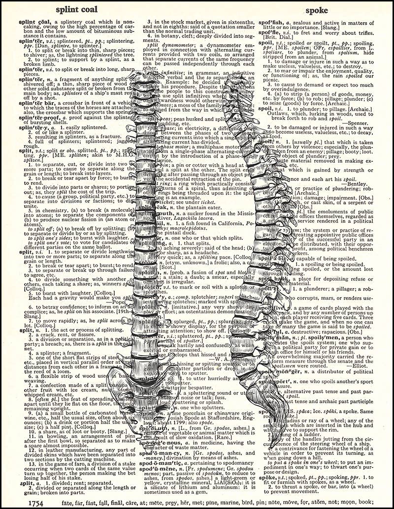 Human Spine Dictionary Print – Because Science