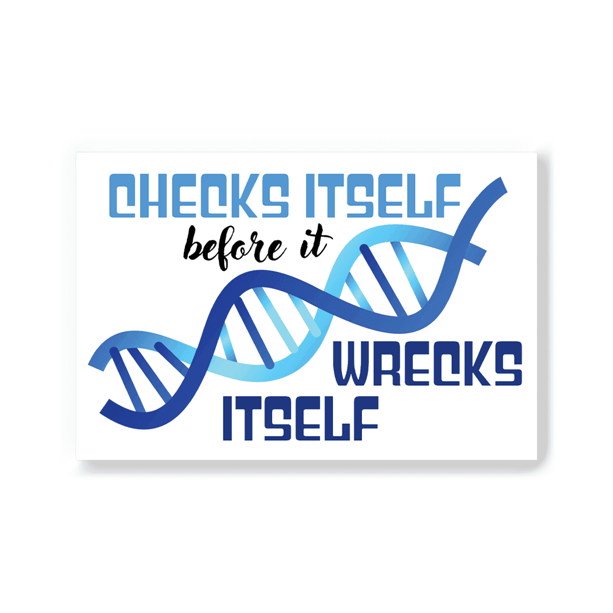 DNA Checks Itself - 2x3 Magnet – Because Science