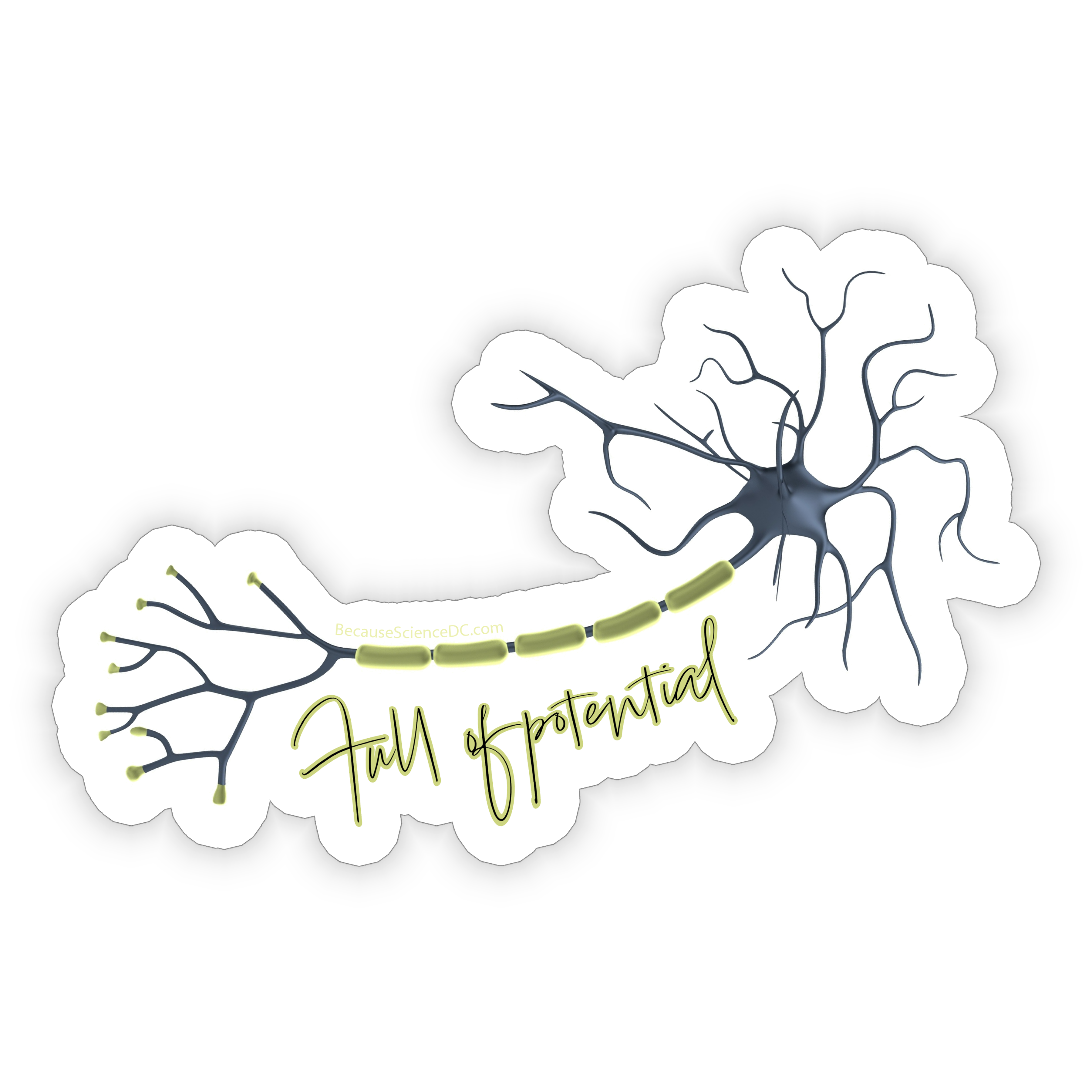 Full of Potential - Vinyl Sticker – Because Science