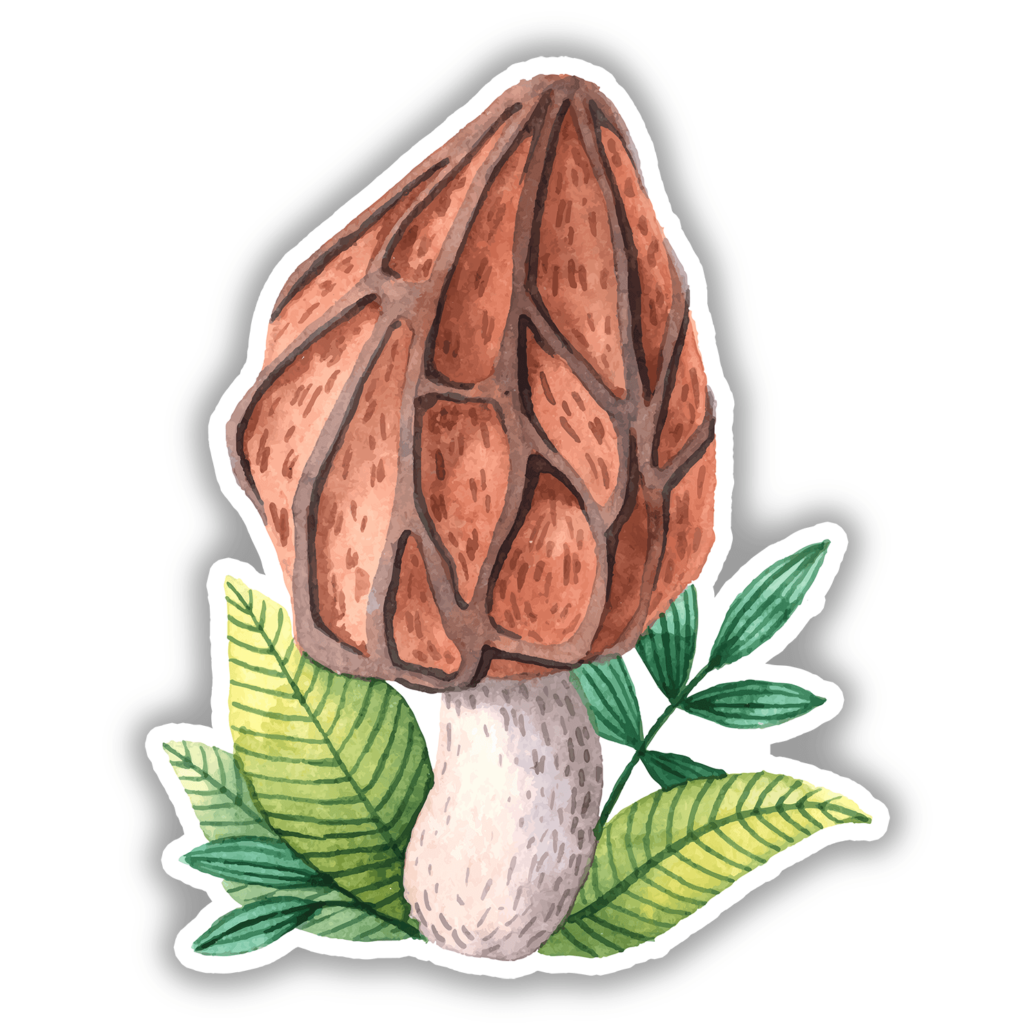 Morel Mushroom - Vinyl Sticker – Because Science